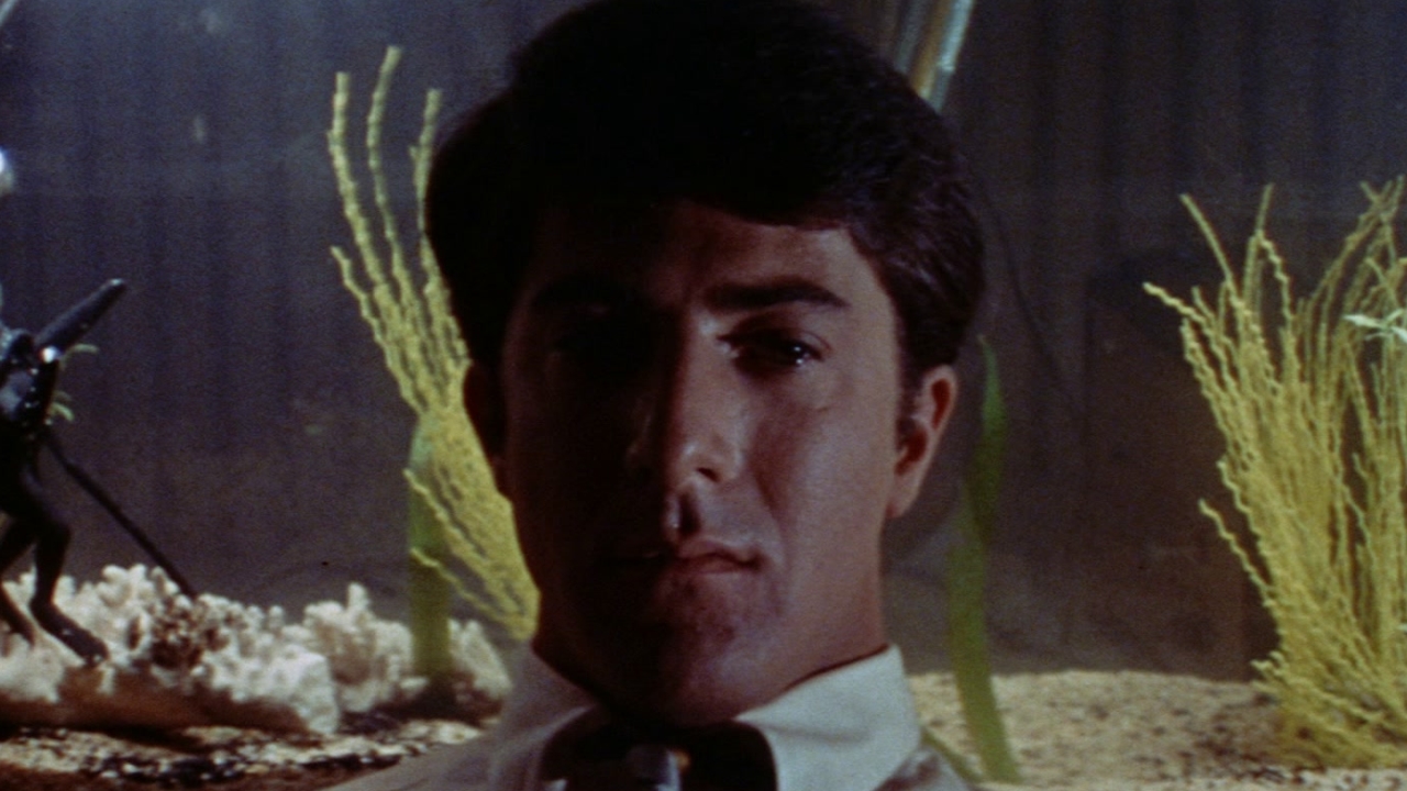 The Graduate Reviews - Metacritic