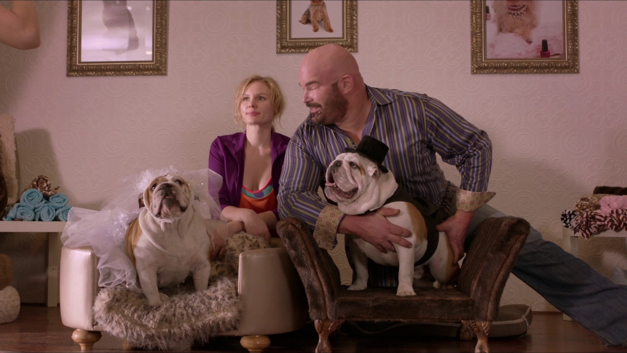 Matt Bloom - TV Guide