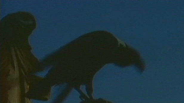 The Raven - Where to Watch and Stream - TV Guide