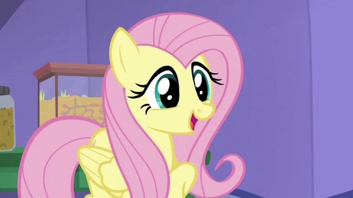 My Little Pony: Friendship Is Magic: A Frightened Fluttershy - TV Guide