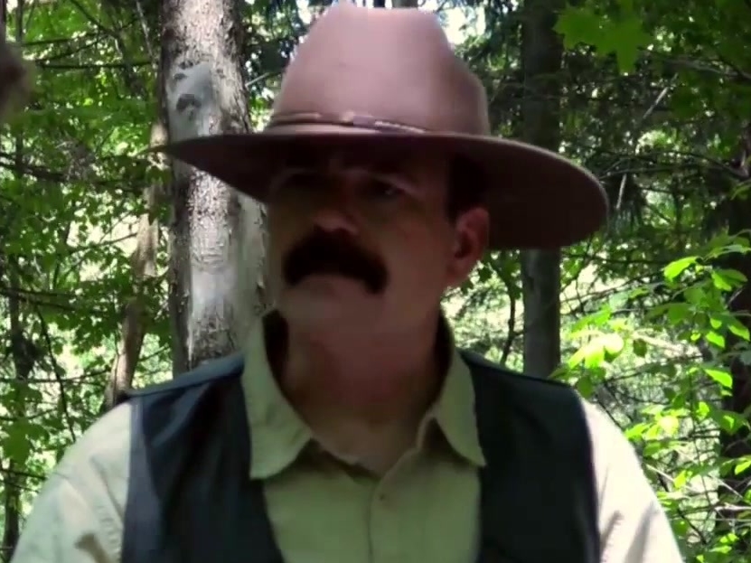 Sarah Domanick - TV Guide