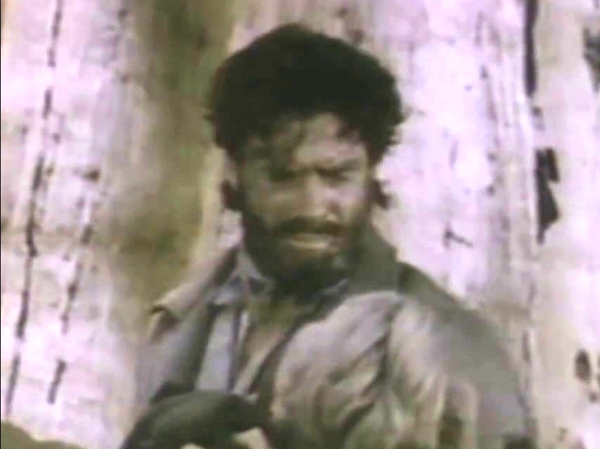 Trace Beaulieu - TV Guide