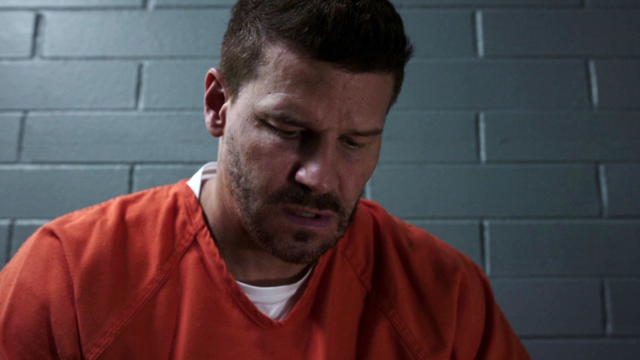 Johnny Kostrey - TV Guide