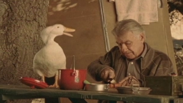 Duck Reviews - Metacritic