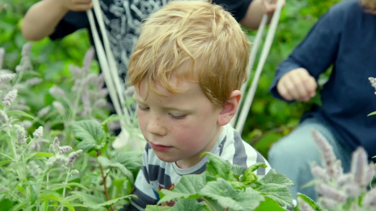 Tomorrow - Where to Watch and Stream - TV Guide