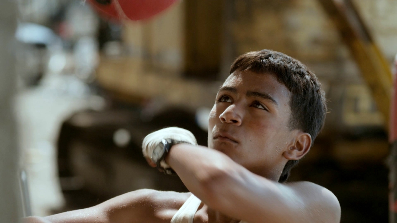 The Farm (La Granja) Reviews - Metacritic