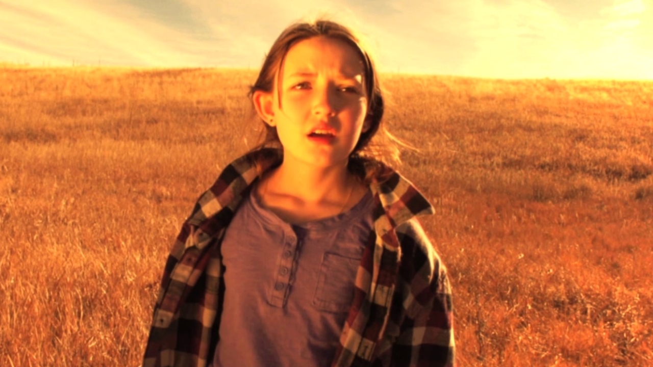 Tsunambee - Where to Watch and Stream - TV Guide