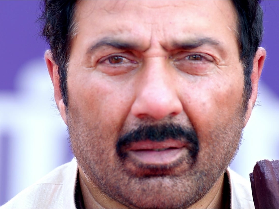 Poster Boys - Where to Watch and Stream - TV Guide