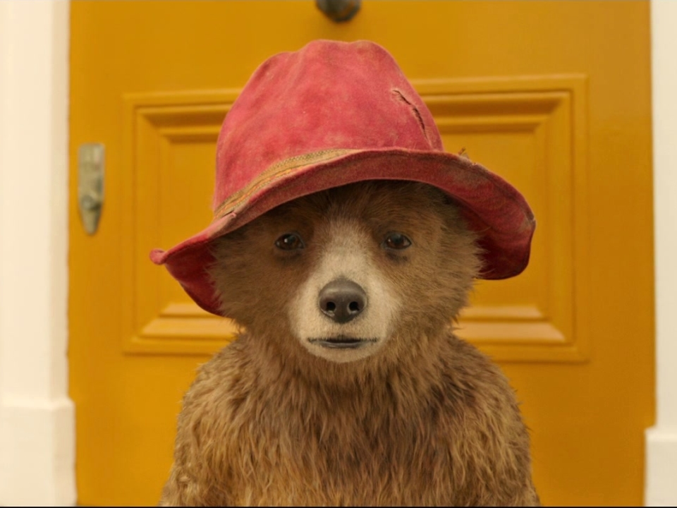 Paddington 2 - Where to Watch and Stream - TV Guide