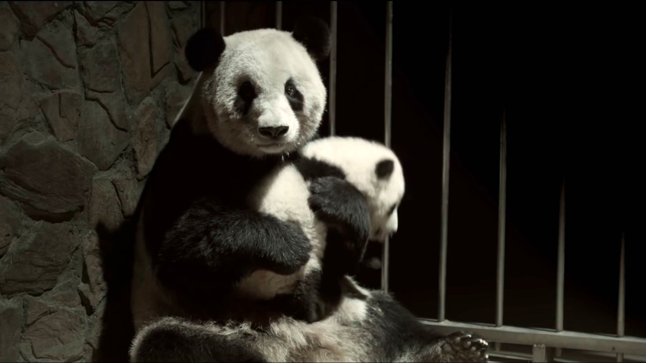 Pandas Reviews - Metacritic