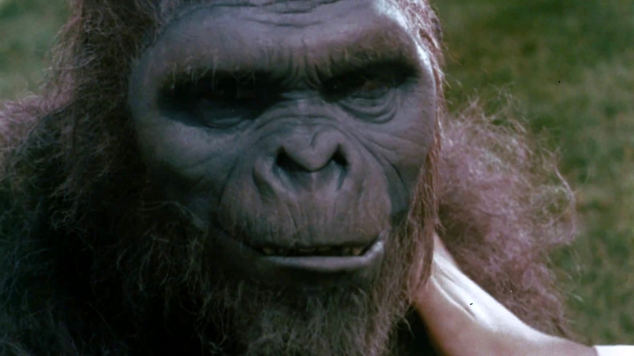 Schlock Movie Trailer and Videos | TV Guide