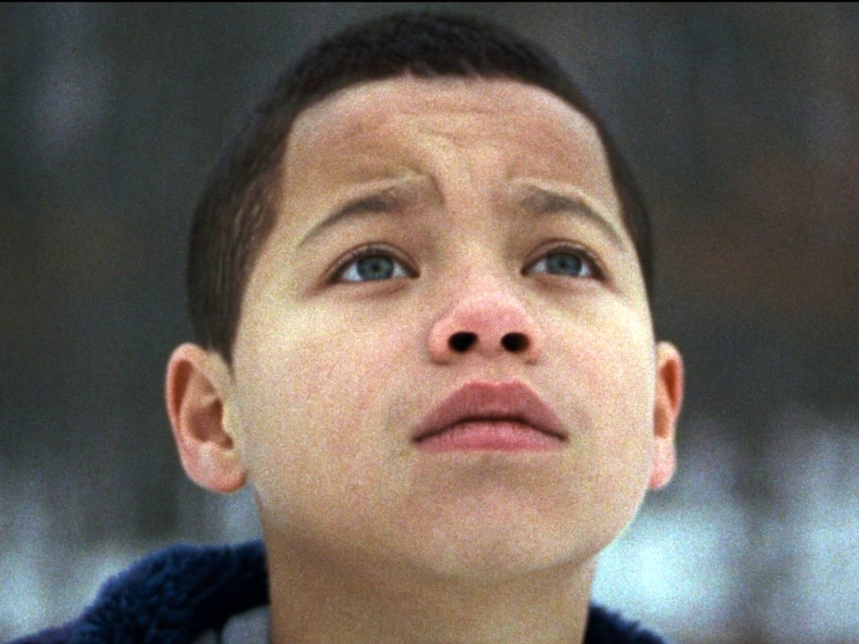 We the Animals - Where to Watch and Stream - TV Guide