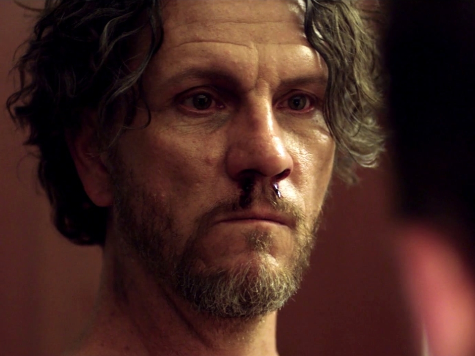 Racing Colt - Where to Watch and Stream - TV Guide