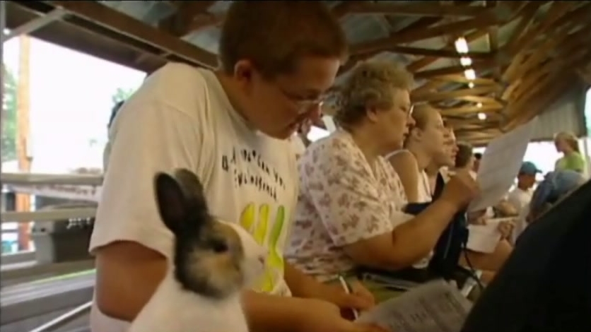 Grange Fair: An American Tradition - Where to Watch and Stream - TV Guide