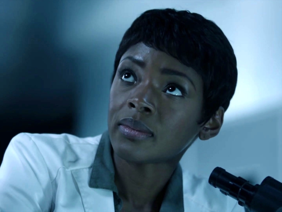 Austin Freeman - TV Guide