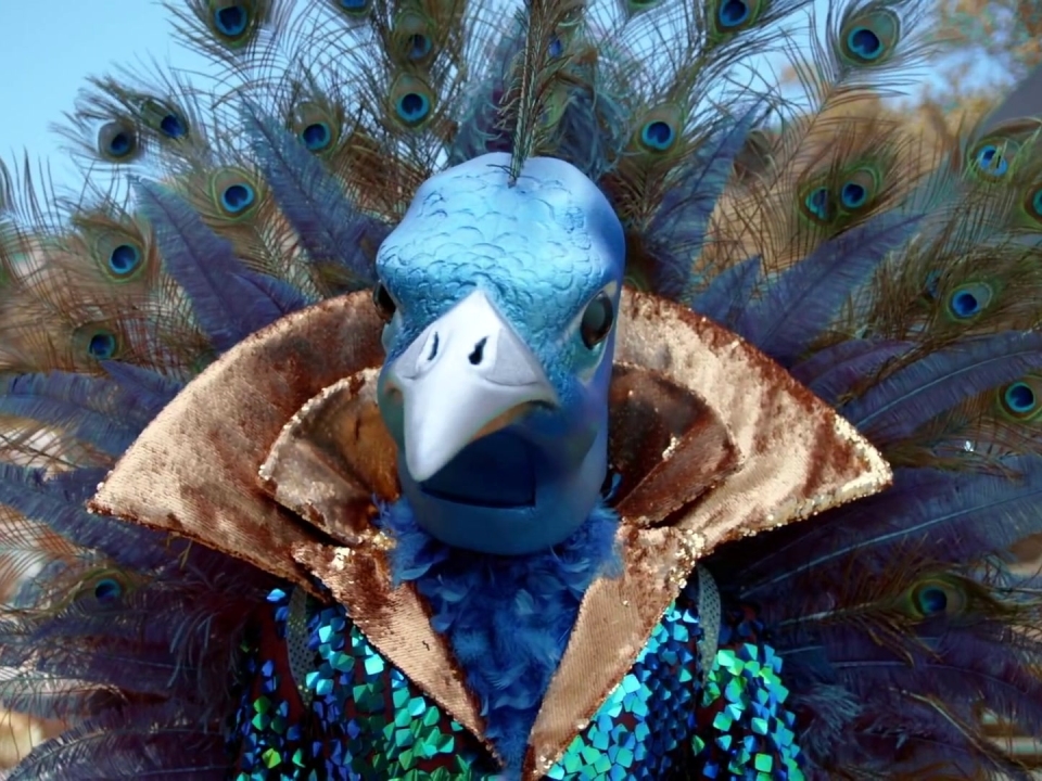 The Masked Singer: The Reveal: Sir Bug A Boo - TV Guide