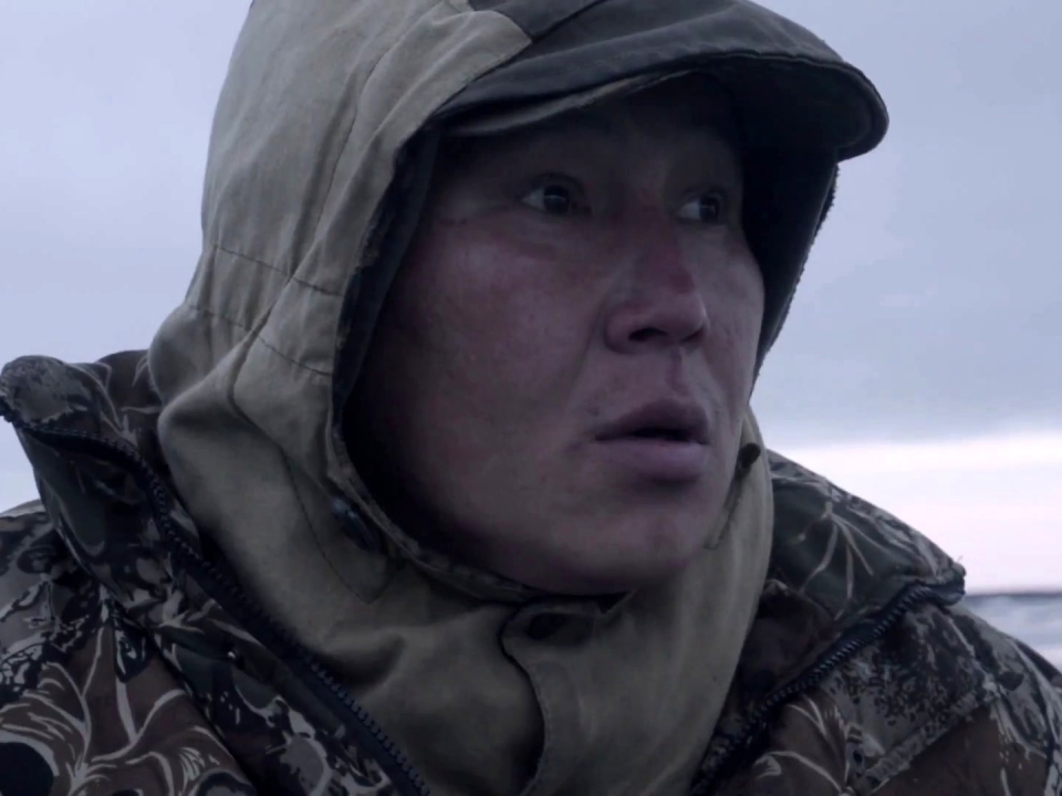 Genesis 2.0 - Where to Watch and Stream - TV Guide