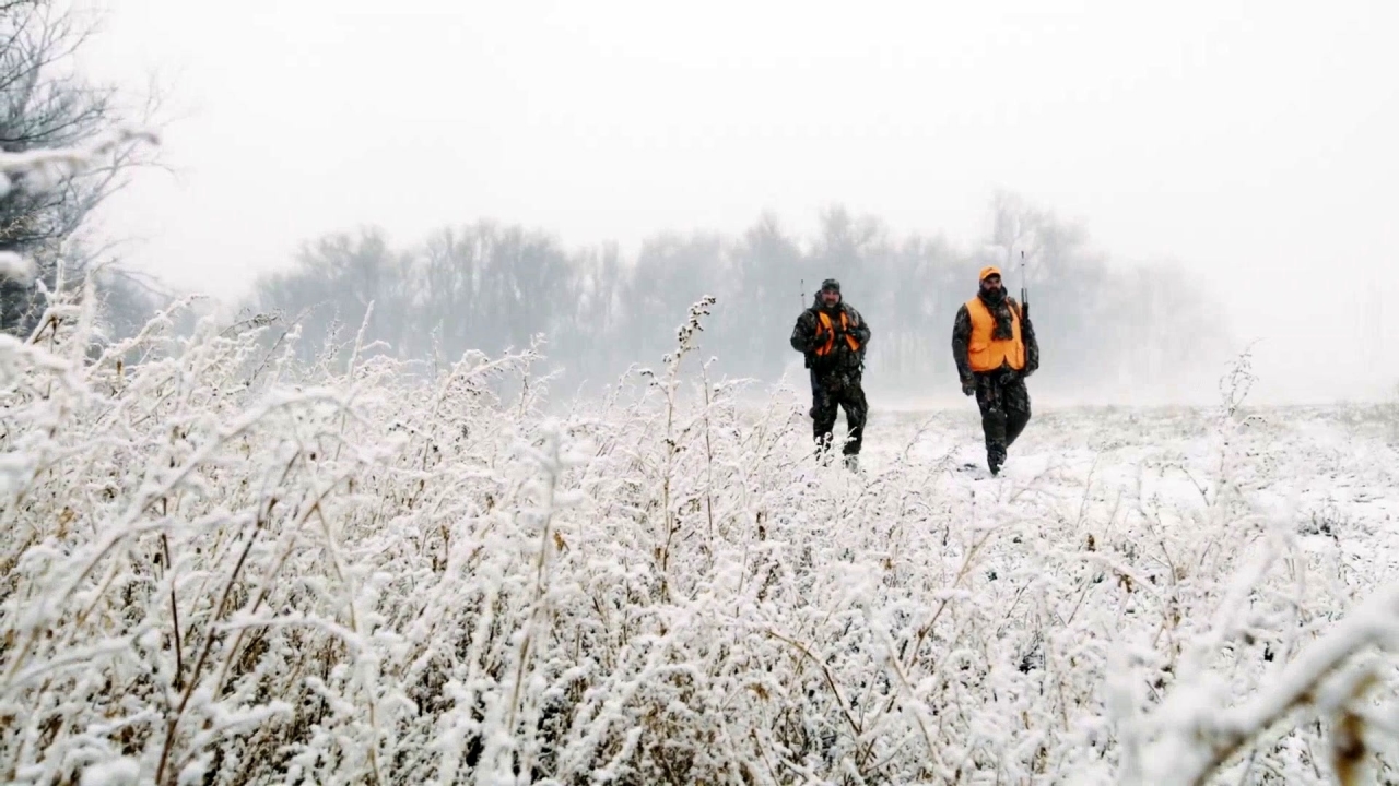 Missing 411: The Hunted - Where to Watch and Stream - TV Guide