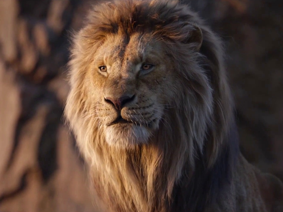 The Lion King: Remember (TV Spot) - TV Guide