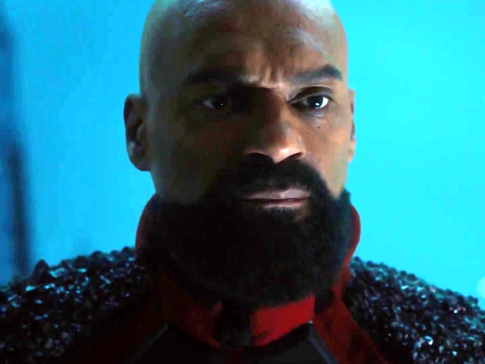 David Kob - TV Guide