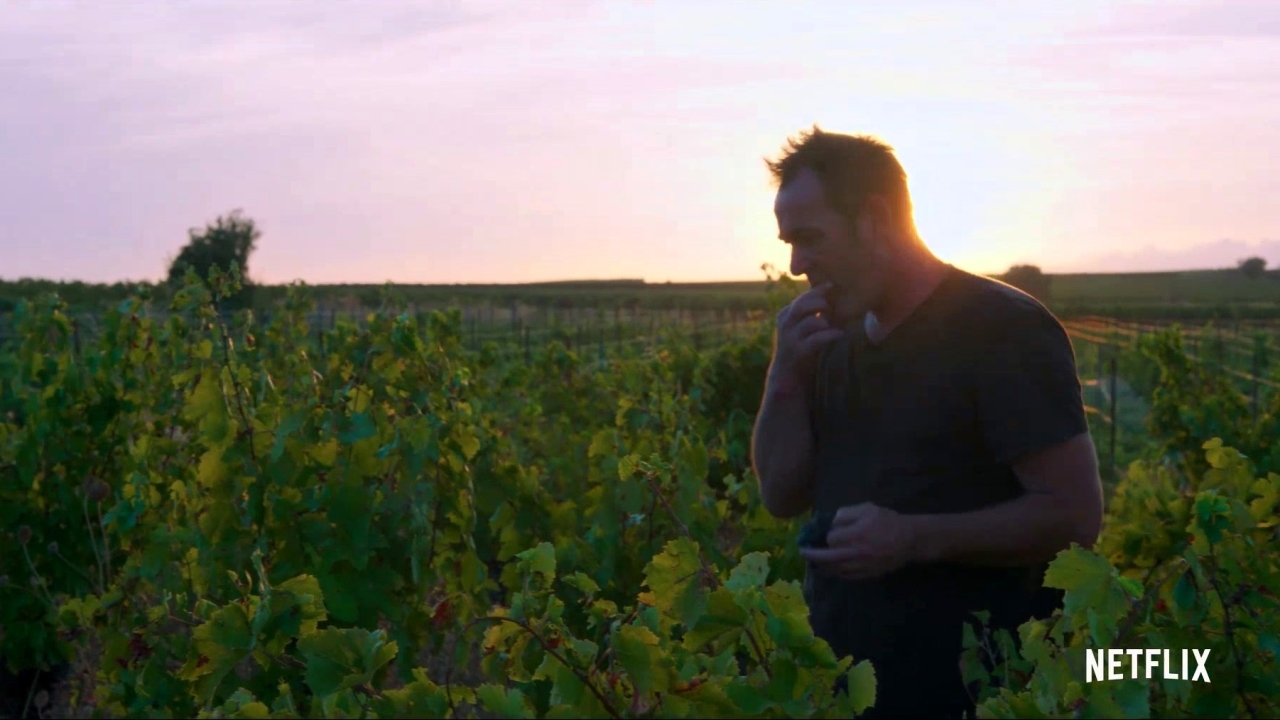 Rotten - Season 2 Reviews - Metacritic