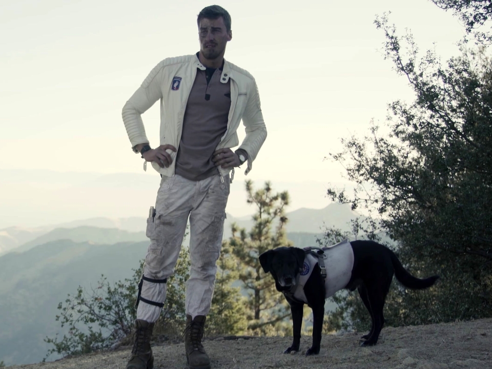 Ellipse - Where to Watch and Stream - TV Guide