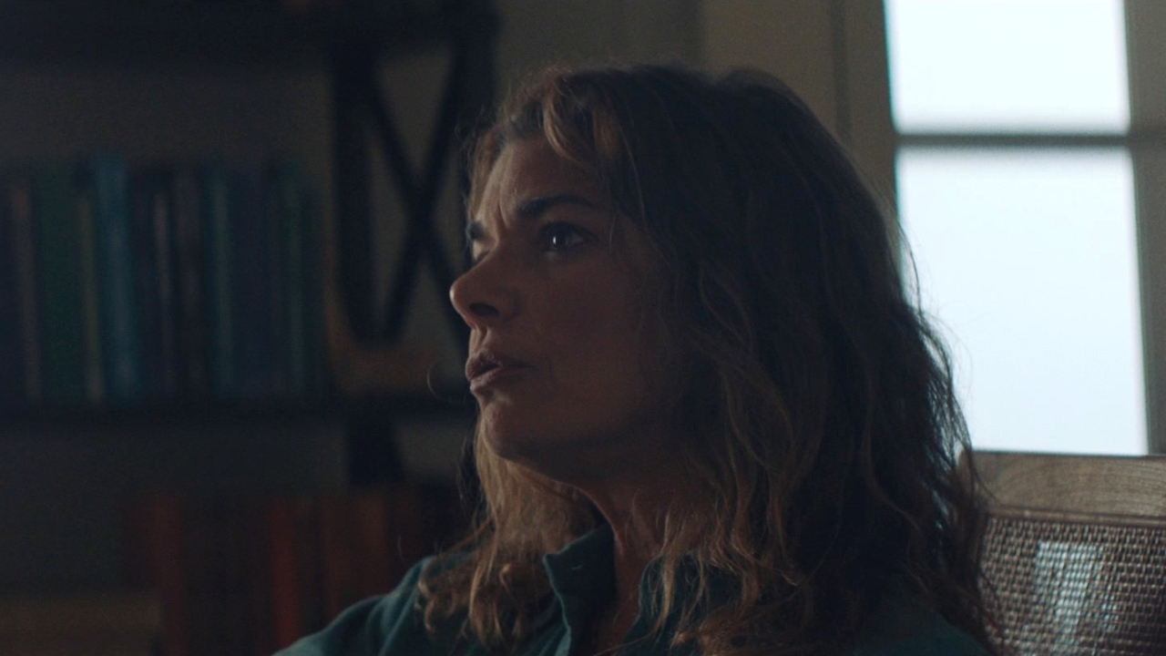 Honey Boy Reviews - Metacritic