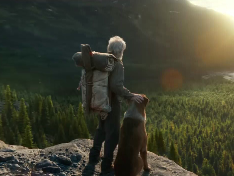 Call of the Wild - Where to Watch and Stream - TV Guide