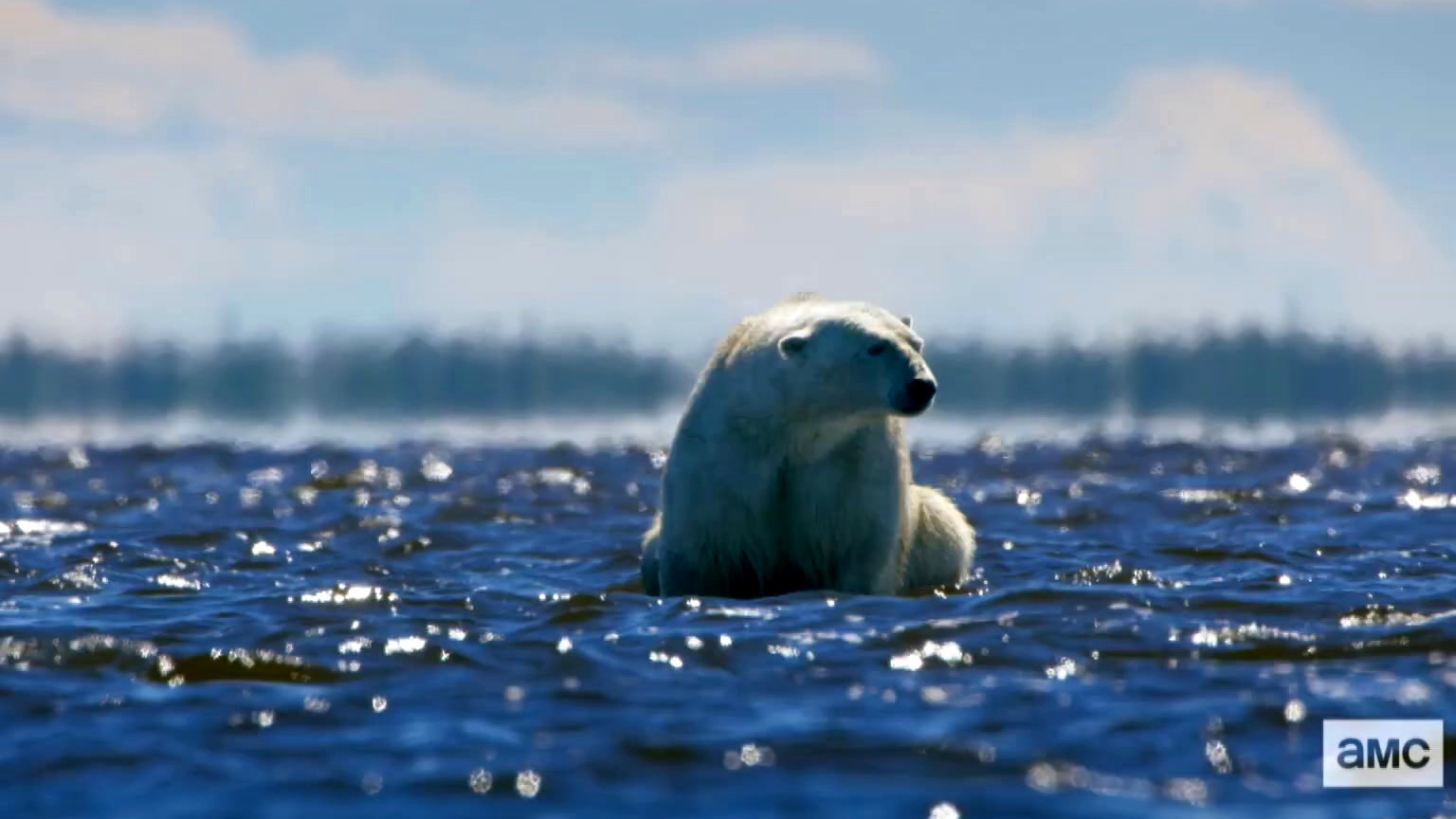 Seven Worlds, One Planet - Season 1 Reviews - Metacritic