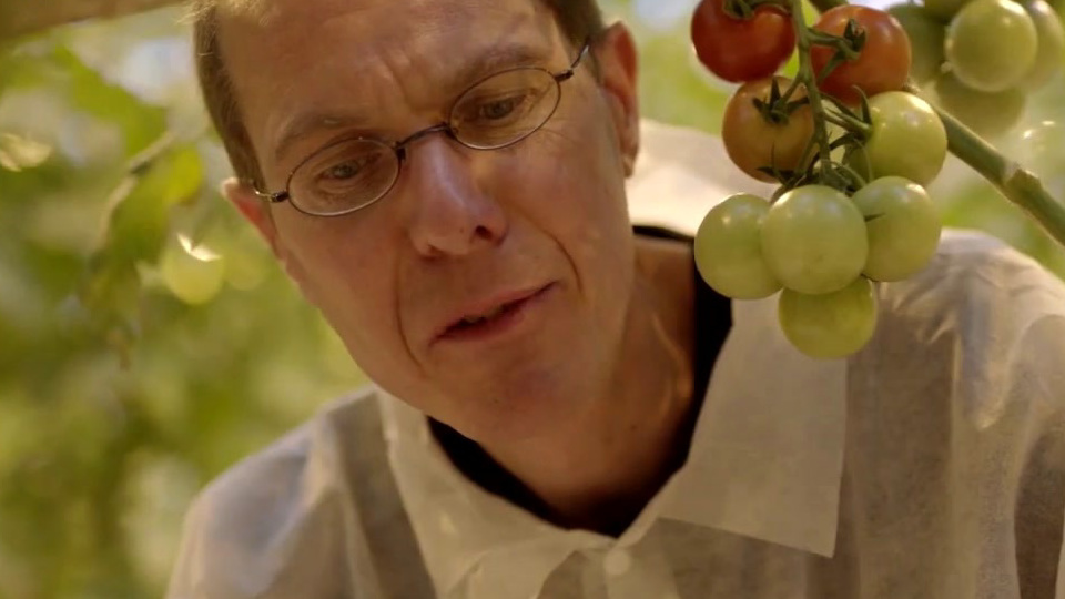 H2O: The Molecule That Made Us: Cenotes - TV Guide