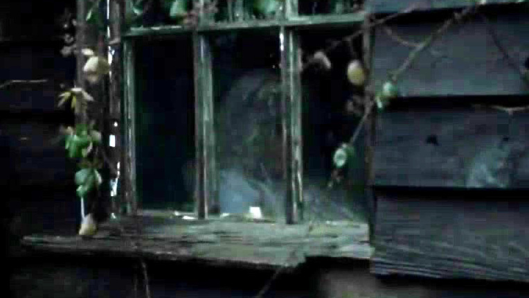 Relic Reviews - Metacritic