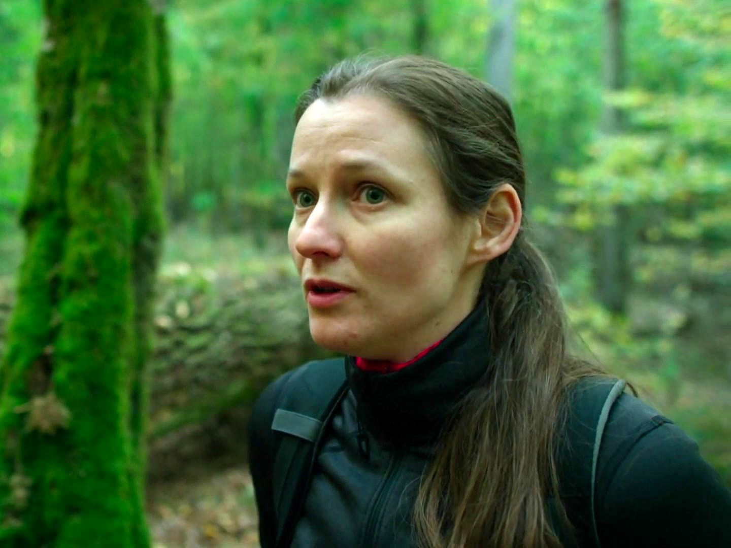 The Age of Nature - Where to Watch and Stream - TV Guide