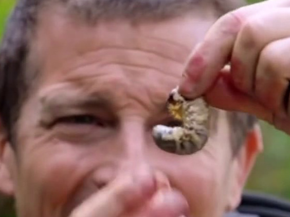 Animals on the Loose: A You vs. Wild Movie - Where to Watch and Stream ...