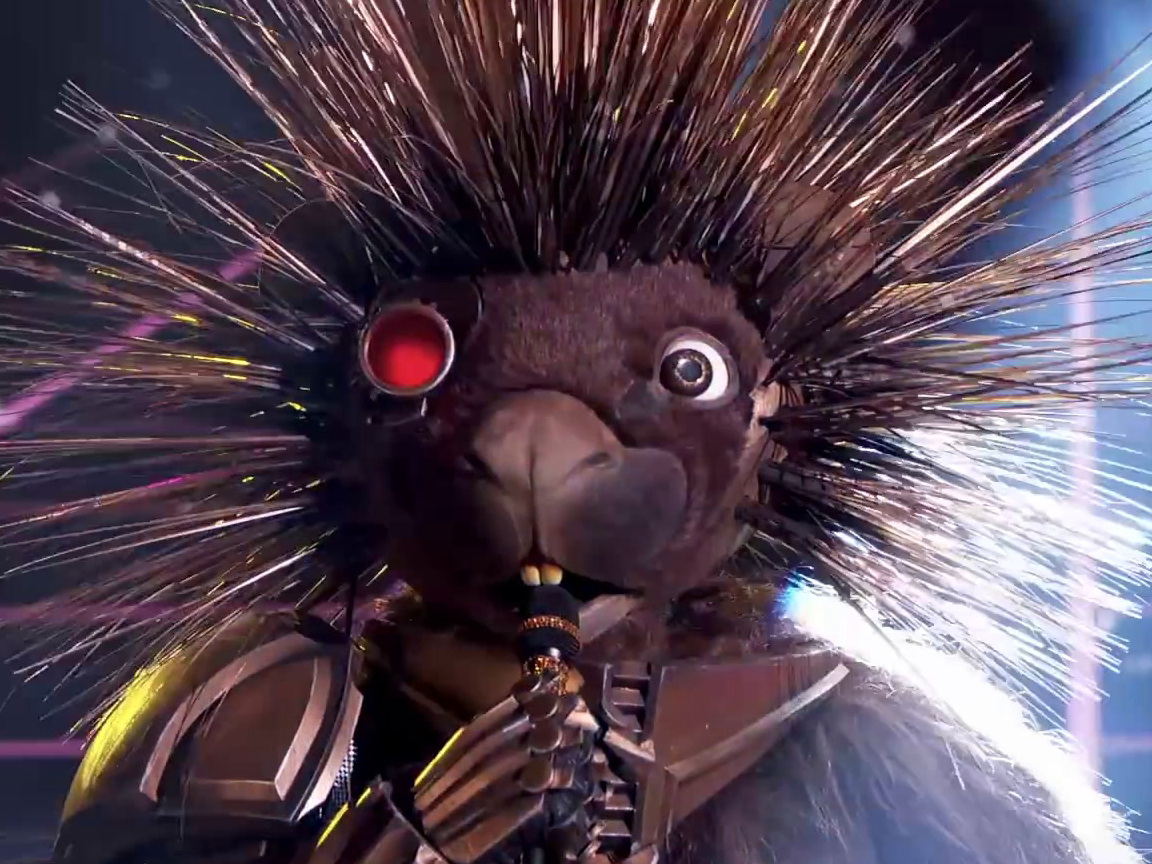 The Masked Singer: Leann Rimes As The Sun Performs The Story - TV Guide