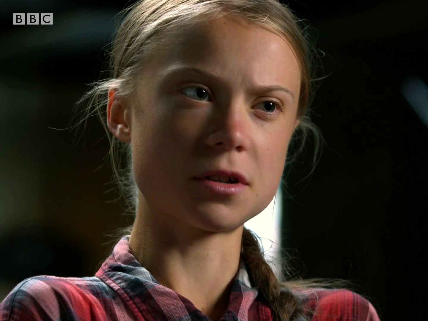 Greta Thunberg: A Year to Change the World - TV Guide
