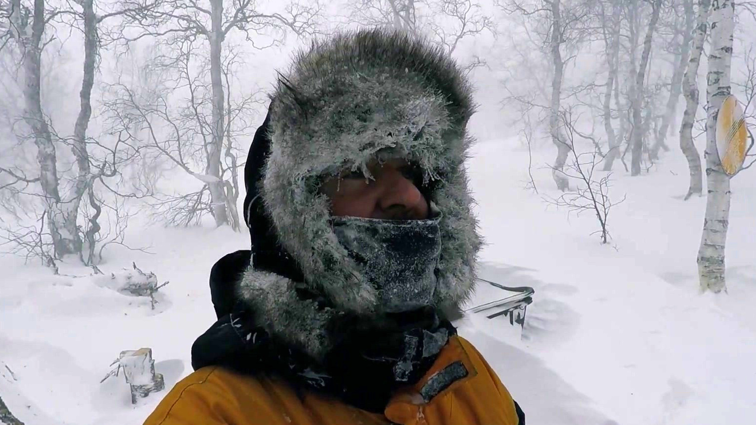 An Unknown Compelling Force Reviews - Metacritic