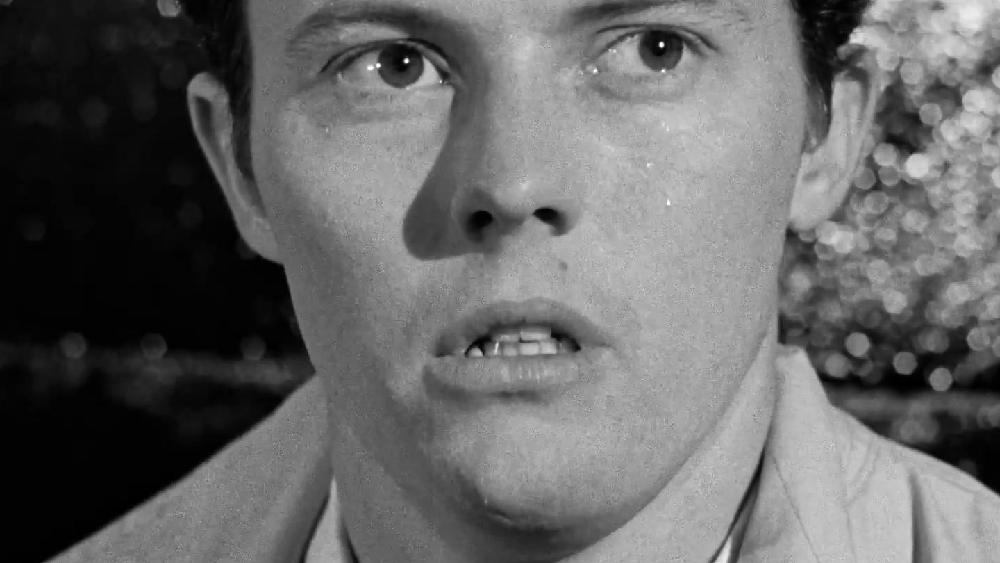 Dementia 13 - Where to Watch and Stream - TV Guide