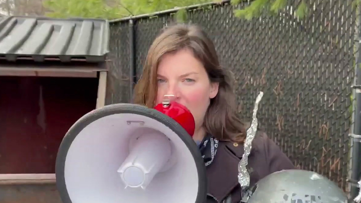 2020: The Dumpster Fire - Where to Watch and Stream - TV Guide