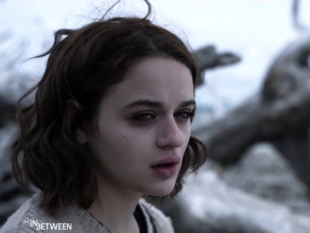 The In Between - Where to Watch and Stream - TV Guide