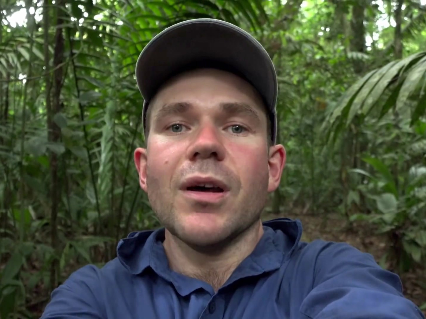 The Green Planet: How to Bring Plants to Life on Camera - TV Guide