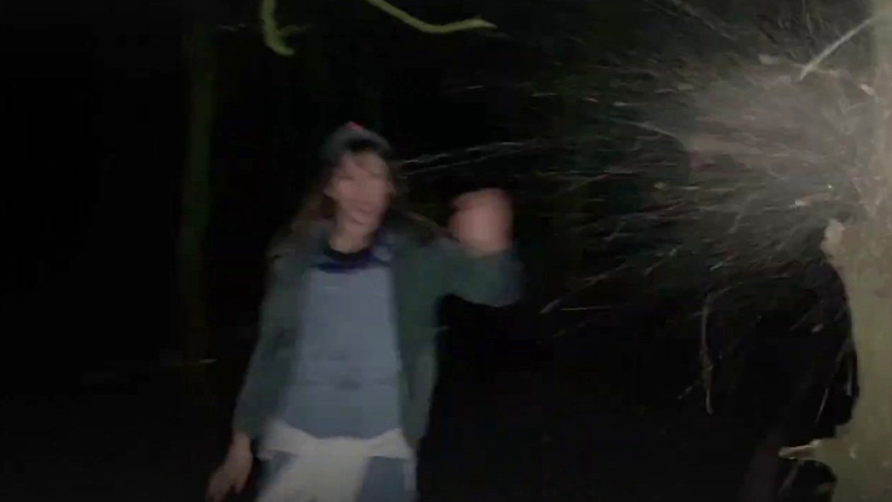 Dashcam - Where to Watch and Stream - TV Guide