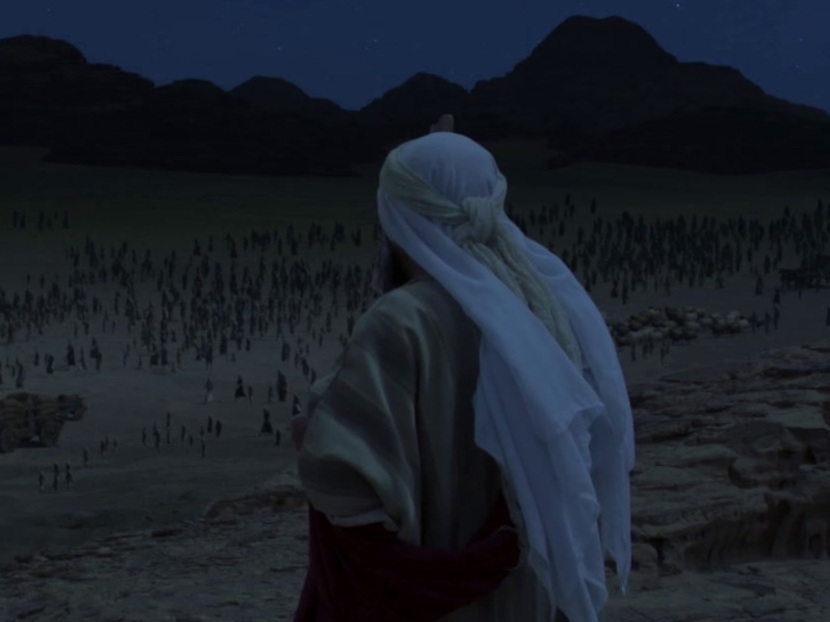 Patterns Of Evidence: Journey To Mount Sinai - TV Guide