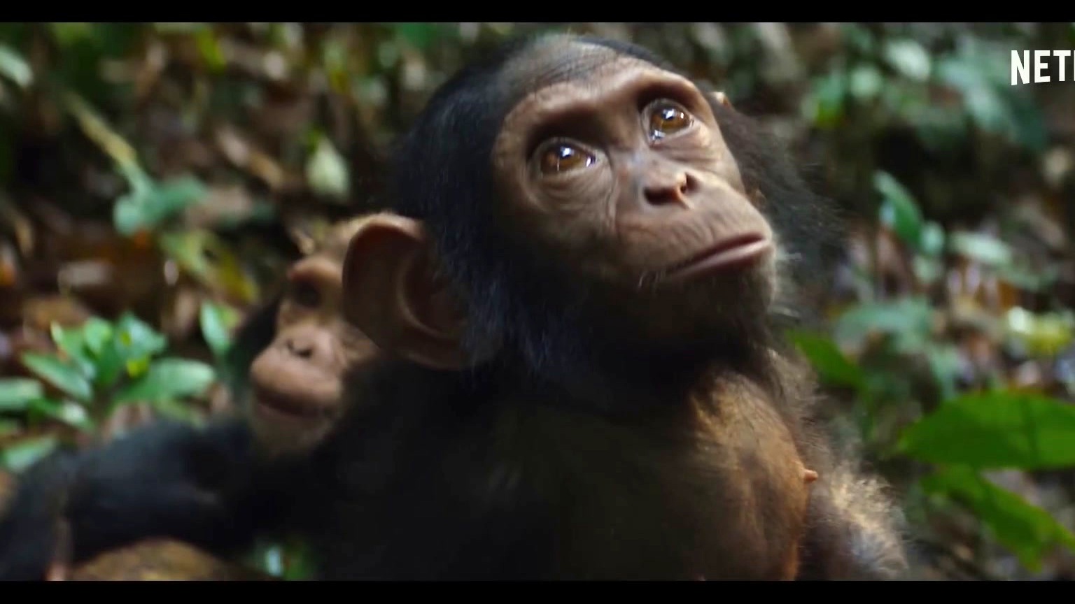 Our Universe - Season 1 Reviews - Metacritic