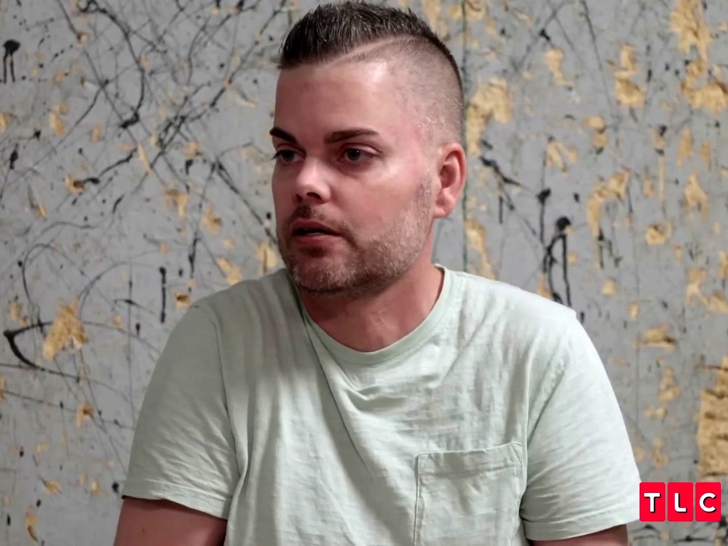 90 Day: The Single Life: Tell All Part 3 - TV Guide