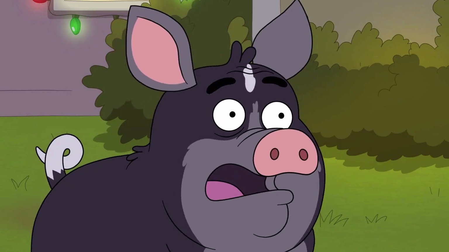 Housebroken: Who's A Winner? - TV Guide