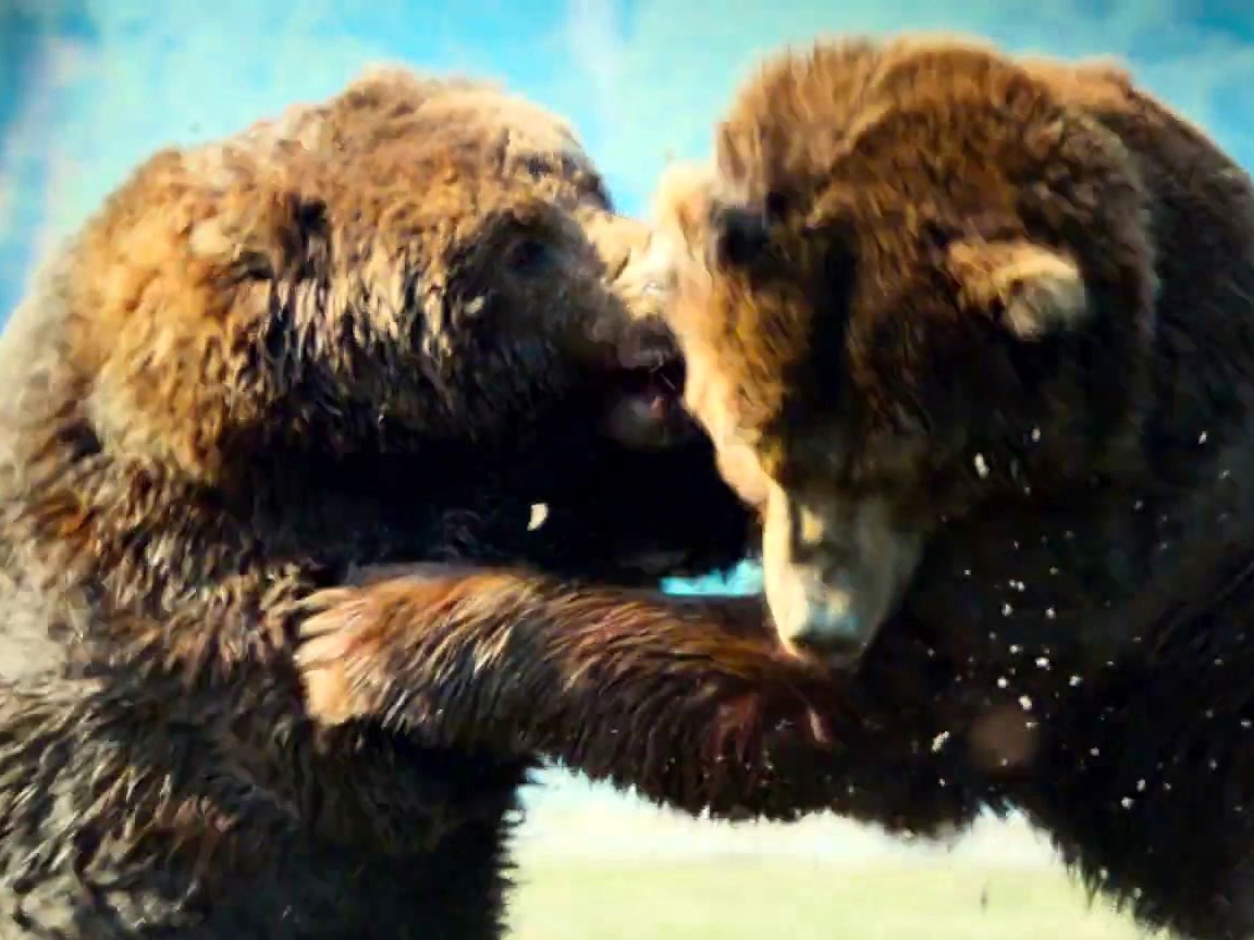 Big Beasts - Where to Watch and Stream - TV Guide