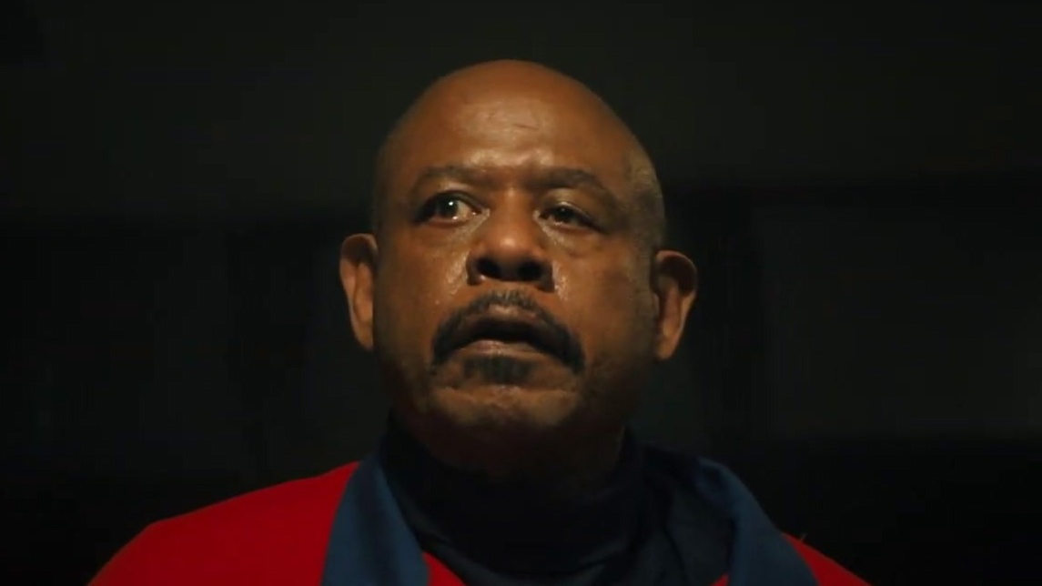 Big George Foreman: Ali Fight Breakdown (Featurette) - TV Guide