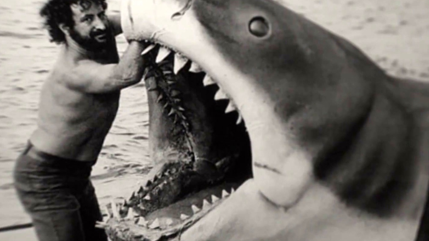 Sharksploitation - Where to Watch and Stream - TV Guide