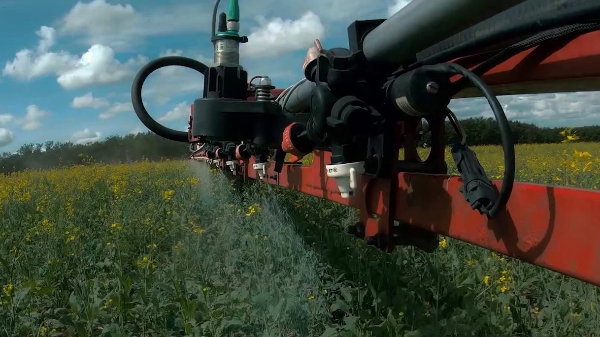 Into the Weeds - Where to Watch and Stream - TV Guide