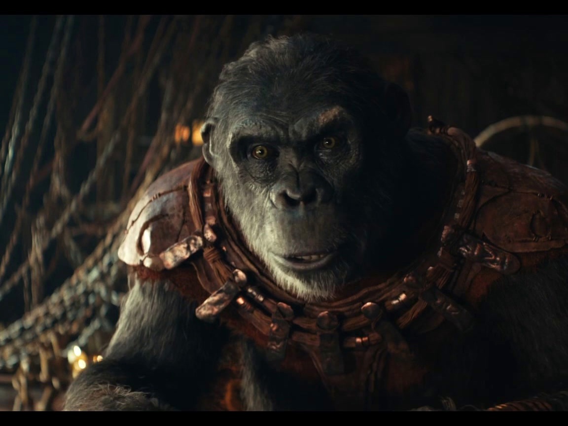 Kingdom of the Planet of the Apes - Where to Watch and Stream - TV Guide